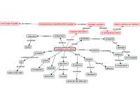 Mappa concettuale per didattica della lettura | Schemi e mappe concettuali di Pedagogia - Docsity