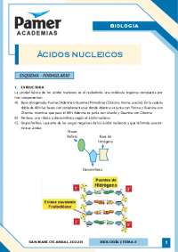 Material de pamer 2021 - 2022 | Diapositivas de Lenguaje y práctica ...