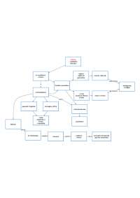 Mappa concettuale su Pascal | Schemi e mappe concettuali di Filosofia | Docsity