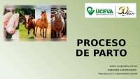 Proceso de parto en animales domesticos | Apuntes de Fisiología Animal ...
