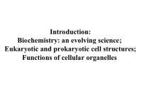 Biochemistry Cells in Chapter 1 | Slides Biochemistry | Docsity