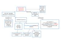 Mappa concettuale pedagogia | Schemi e mappe concettuali di Pedagogia - Docsity