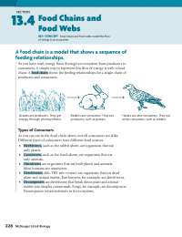 Food Chains and Food Webs | Study Guides, Projects, Research Biology ...