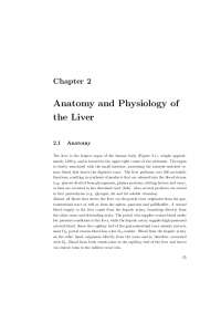 Anatomy and Physiology of the Liver | Schemes and Mind Maps Anatomy ...