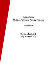Build-A-Pelvis: Modeling Pelvic and Perineal Anatomy Male ... | Lecture ...