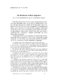 The Mechanism of Dark Adaptation | Lecture notes Neuroscience | Docsity