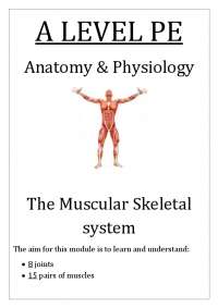 Anatomy & Physiology The Muscular Skeletal system | Slides Anatomy ...