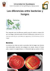 Diferencias de Bacterias y Hongos | Resúmenes de Infectología | Docsity