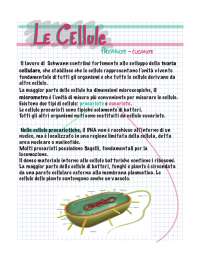 TUTTO SULLA CELLULA, DNA e MUTAZIONI | Appunti di Biologia Applicata - Docsity
