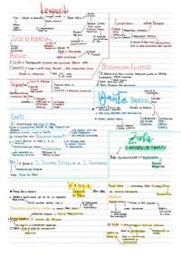 Autori principali del programma di italiano di 5 superiore | Schemi e mappe concettuali di ...