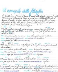 Il compito della filosofia versione | Appunti di Latino - Docsity