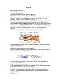 Miriapodi caratteristiche e classificazione | Appunti di Zoologia | Docsity
