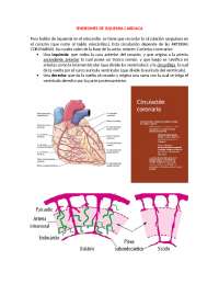 Sx de Isquemia Cardiaca | Resúmenes de Fisiopatología | Docsity