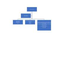 Salud publica mapa conceptual | Esquemas y mapas conceptuales de Salud Pública | Docsity