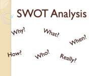 SWOT Analysis | Summaries Auditing | Docsity