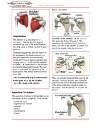 Shoulder-Anatomy.pdf | Study notes Anatomy | Docsity