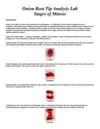 Onion Root Tip Analysis Lab Stages of Mitosis | Study notes Cell ...