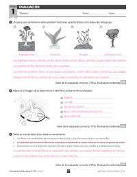 Sm digital evaluacion 5 º primaria naturales | Exámenes de Ciencias de ...
