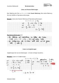 Lösungen zu den grundlagen | Übungen Mathematik | Docsity
