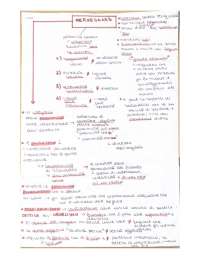 Schemi su Kierkegaard | Schemi e mappe concettuali di Filosofia | Docsity