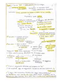 Schemi completi Kant | Schemi e mappe concettuali di Filosofia | Docsity