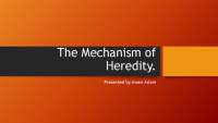 Mechanism of heredity | Slides Psychology | Docsity