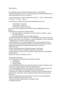 Plexo cervical anatomia | Resúmenes de Anatomía | Docsity