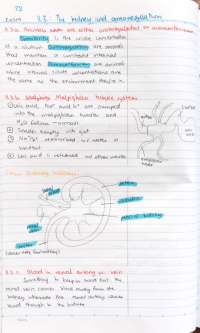 The kidney and osmoregulation | Study notes Biology | Docsity