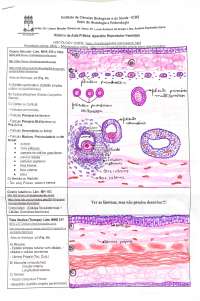 Roteiro de histologia | Esquemas Histologia | Docsity