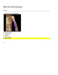 BIOS252 A& P II Lab Final Exam. | Exams Biology | Docsity