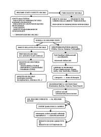 MAPPE CONCETTUALI SUL WELFARE STATE. | Schemi e mappe concettuali di ...