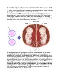 ¿Cómo se diagnostica el Síndrome de Transfusión de gemelo ...