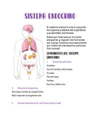 Sistema Endocrino - Biologia | Esquemas y mapas conceptuales de Biología Humana | Docsity