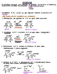Glicolisi e Respirazione cellulare | Schemi e mappe concettuali di ...
