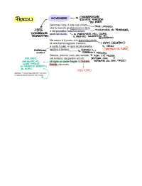 Spiegazione poesie italiano | Schemi e mappe concettuali di Italiano | Docsity