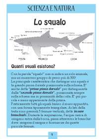 Gli squali ambiente e descrizione | Schemi e mappe concettuali di ...