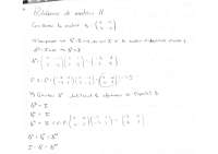 Dos problemas de matrices resueltos | Ejercicios de Matemáticas | Docsity