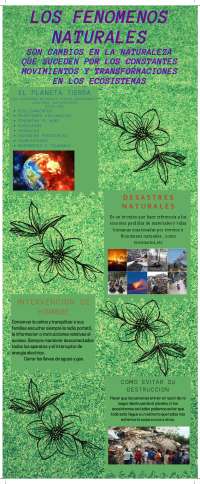 Los fenomenos naturales | Resúmenes de Biología | Docsity