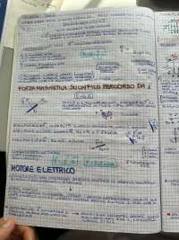 Intensità campo magnetico e forza magnetica | Schemi e mappe concettuali di Fisica | Docsity