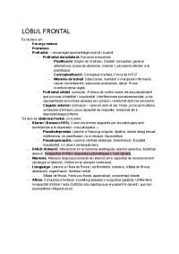 Esquema/resumen lobul frontal, temporal y parietal | Esquemas y mapas ...