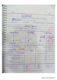 Histology Handwritten Notes | Summaries Histology | Docsity