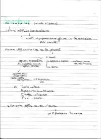 Senofane_Parmenide_Zenone_Empedocle_Atomisti | Schemi e mappe ...