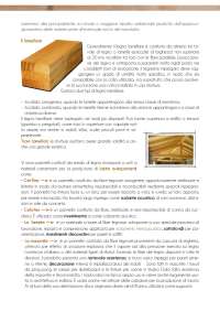 Il legno pt.2 (analisi approfondita) | Guide, Progetti e Ricerche di ...