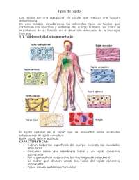 Tipos de tejido en el cuerpo humano | Guías, Proyectos, Investigaciones de Anatomía | Docsity