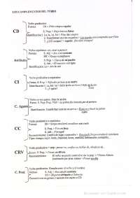 Esquema de tipos de sintagmas | Esquemas y mapas conceptuales de Lengua y Literatura | Docsity