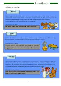 Glícidos Lípidos Prótidos | Esquemas Energia | Docsity