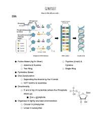 Genetics Study Guide | Study Guides, Projects, Research Genetics | Docsity