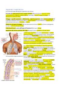 Anatomia apparato respiratorio | Appunti di Anatomia | Docsity