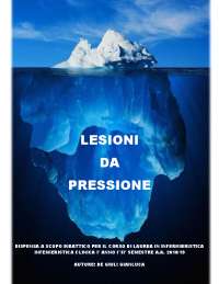 Dispensa sulle lesioni da pressione | Appunti di Chirurgia Generale | Docsity