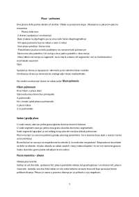 PLUCA ANATOMIJA I FIZIOLOGIJA | Skripte' predlog Anatomija i ...